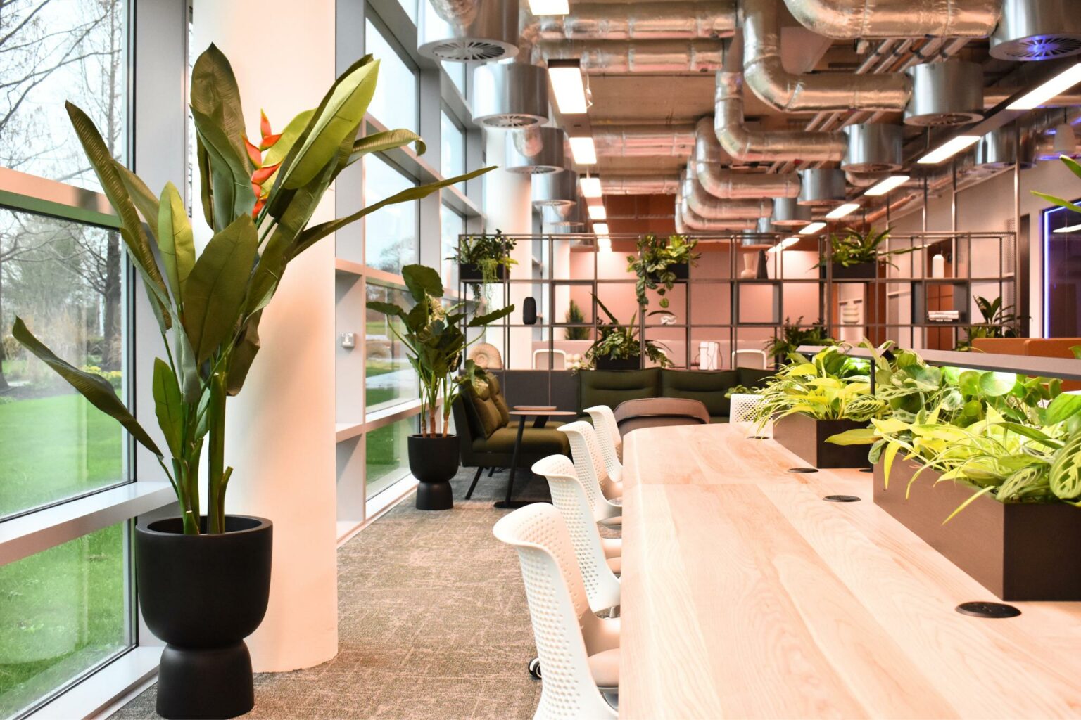 Unlock Your Productivity: Why Coworking Spaces Are Revolutionising the ...