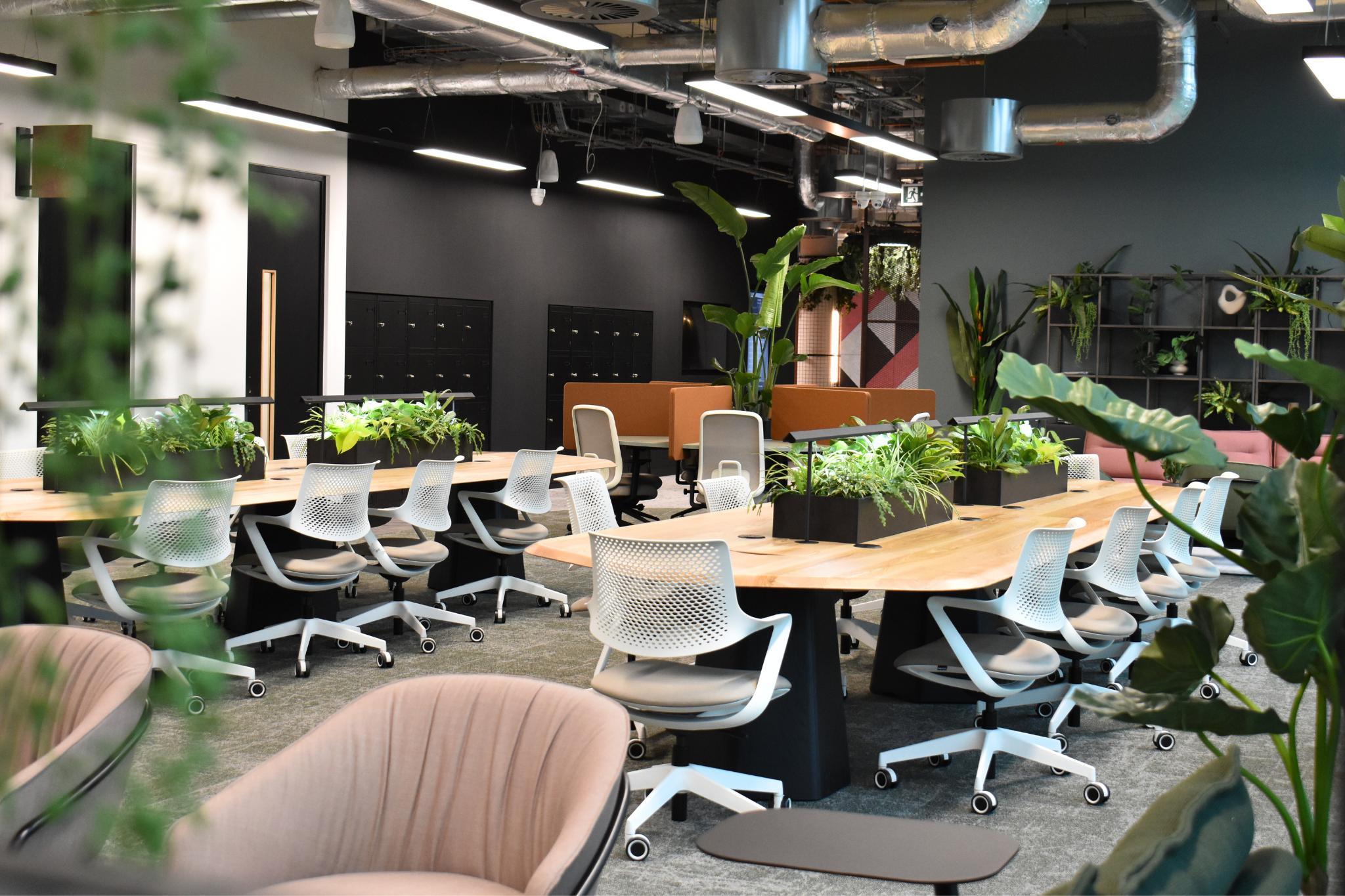 Serviced Office vs Coworking Space - Link Spaces
