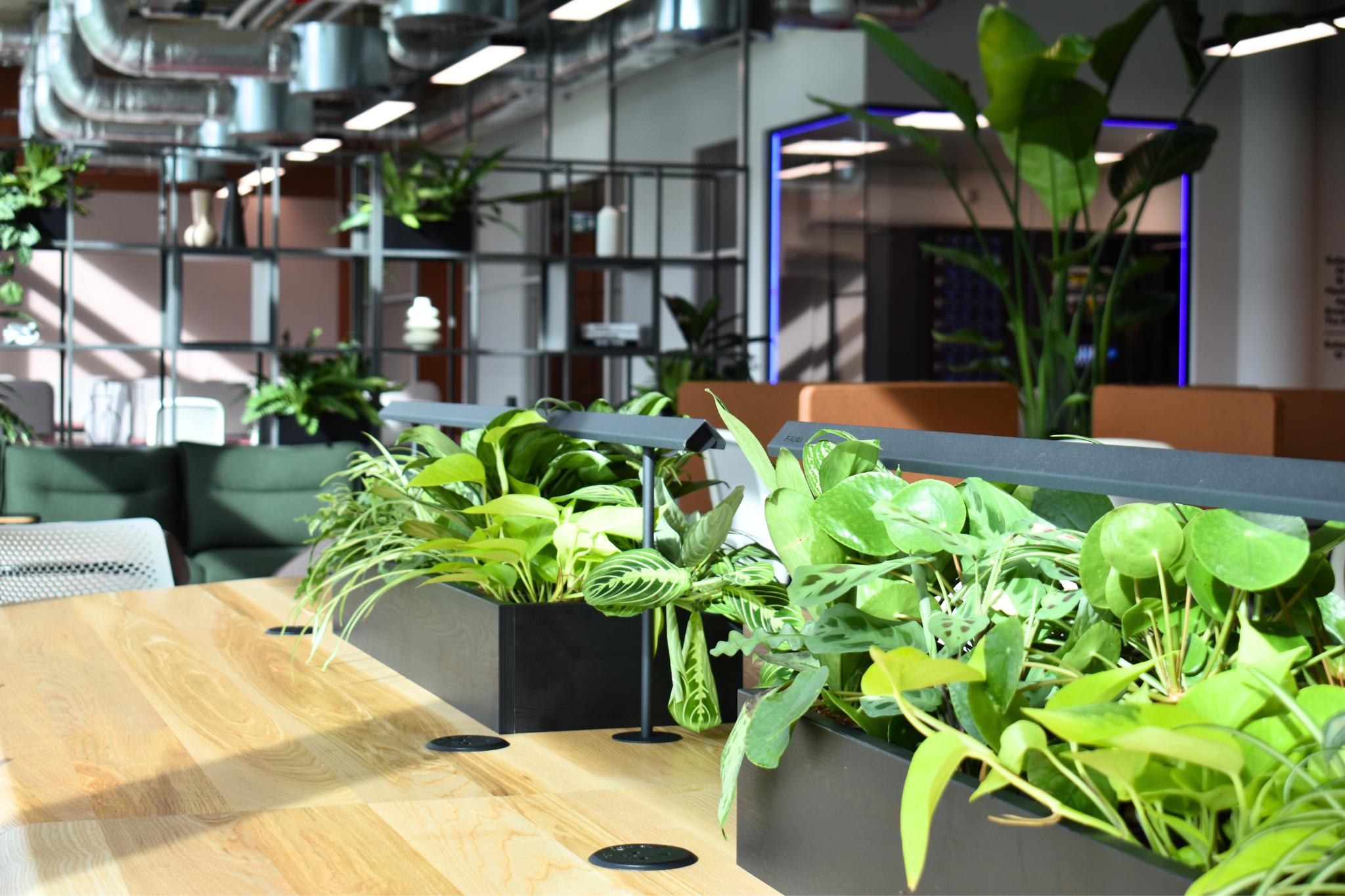 Hybrid Workday World: Embracing New Office Models - Link Spaces